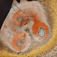 Contact – Callum Forbes